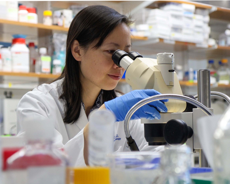 Daniel Saban co-leads research showing immune cells help regulate eye ...